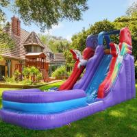 China Inflatable Water Park Slides with Custom Logo Printed and Max Capacity 100-500kg for sale
