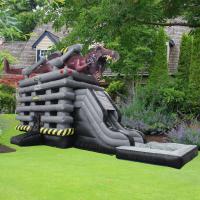 China School Occasion Inflatable Castle with Slide and Balloons Repair Kit Accessory Included for sale