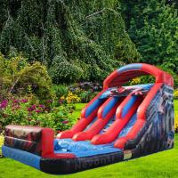 China 2024 Big Inflatable Slide for Adults Custom Logo Printed Commercial Inflatable Water Slide for sale