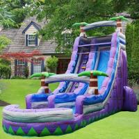 China 2024 Big Inflatable Slide for Adults Custom Logo Printed Commercial Inflatable Water Slide for sale