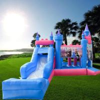 China 14 Years Up Commercial Inflatable Bouncer Castle with Slide and Packing Bag Included for sale