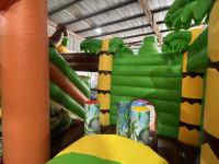 China Clown Fun Park Inflatable Castle with PVC Material and Accessory Packing Bag Included for sale