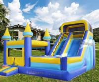 China PVC Inflatable Adult Bouncer Bounce House Sonic Castle with Custom Logo Printed for sale