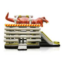 China Customized Color Inflatable Water Slide Park Outdoor Dragon Slide for 5-10 Passengers for sale