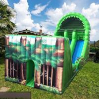 China Residential Occasion Inflatable Slide for Children's Water Play Customized Color for sale