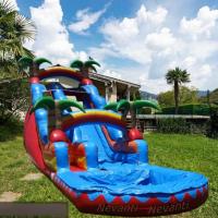 China Bestseller Inflatable Cactus Slide with Customized Size and Max Capacity 100-500kg for sale