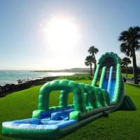 China Bestseller Inflatable Cactus Slide with Customized Size and Max Capacity 100-500kg for sale