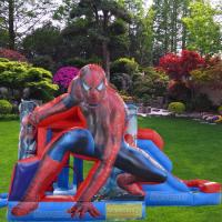 China 14 Years Up PVC Inflatable Castle with Blower Light Colored Bounce House Bouncie Castle/Pool for sale
