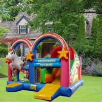 China 1600 Square Meter Inflatable Bounce House with Slide and Customized Color Castle for sale