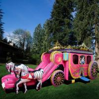 China 1600 Square Meter Inflatable Bounce House with Slide and Customized Color Castle for sale