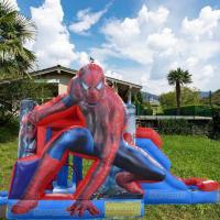 China 8-13 Years Old Kids Inflatable Jumping Castle Commercial Bounce House with Packing Bag for sale