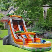 China Custom Color Air Filled Inflatable Slide Perfect for Summer Fun and Family Fun for sale