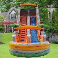 China Inflatable Candy Slide Outdoor Design Water Slide Inflatable Slip and Slide for Kids for sale