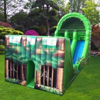 China Customized Color Inflatable Bouncer Commercial Slide with Max Capacity 100-500kg for sale