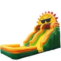 China Customized Color Bouncy Castle Inflatable Slide for Max Capacity 100-500kg Water Fun for sale