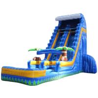 China Custom Logo Printed Outdoor Inflatable Slide for 2024 Swimming Pool Entertainment for sale