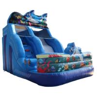 China Outdoor Customized Color Inflatable Slide Water Park for Inflatable Pools 2024 Hot Style for sale