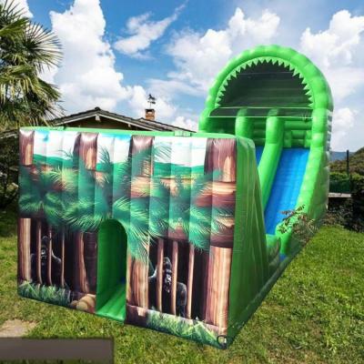 China 2024 Outdoor Customized Color Inflatable Water Slide for Customized Requirements for sale