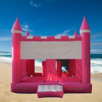 China Customized Size Inflatable Frozen Castle Bouncer with Water Slide of PVC Material for sale