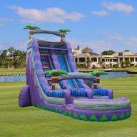 China Custom Logo Printed 2024 Innovations Inflatable Pool with 2 Slides and Rainbow Water Slide for sale