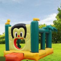 China Jumping Castle Bounce House Package Customized Color Inflatable Castle for sale