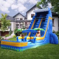 China Max Capacity ＜100kg Commercial Palm Tree Inflatable Water Slide for Kids Outdoor Play for sale