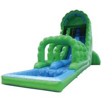 China Green Large Inflatable Water Slide with Pool The Perfect Addition to Your Outdoor Space for sale