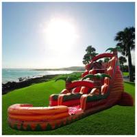 China Green Large Inflatable Water Slide with Pool The Perfect Addition to Your Outdoor Space for sale