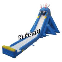 China Customized PVC Summer Pool Dual Water Slides for Adult Inflatable Backyard Fun for sale