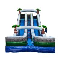 China Customized Logo Inflatable Water Slide with Double Lanes Tropical Coconut Tree Design for sale