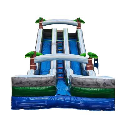 China Customized Logo Inflatable Water Slide with Double Lanes Tropical Coconut Tree Design for sale