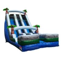 China Customized Logo Inflatable Water Slide with Double Lanes Tropical Coconut Tree Design for sale