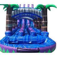 China Double Slide Customized Color Inflatable Tropical Tree Water Slide For Rental Business for sale