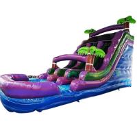 China Inflatable Tropical Water Slide for Event Party Commercial PVC Blow Up Bouncy House for sale