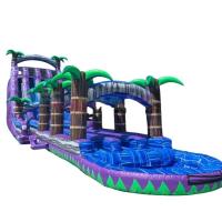 China Inflatable Tropical Water Slide for Event Party Commercial PVC Blow Up Bouncy House for sale