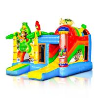 China Commercial Inflatable Bouncy Castle with Customized Size and Bluey Bounce House Design for sale