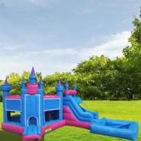 China Commercial Inflatable Bouncy Castle with Customized Size and Bluey Bounce House Design for sale