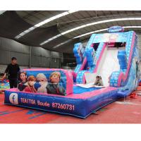 China Customized Color Bounce House Inflatable Water Slide for 8-13 Years Old Children for sale