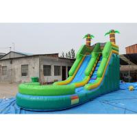 China 14 Years up Age Range Widely Used Backyard Inflatable Water Slide for Kids and Adults for sale