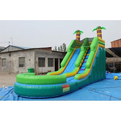 China 14 Years up Age Range Widely Used Backyard Inflatable Water Slide for Kids and Adults for sale