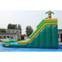 China 14 Years up Age Range Widely Used Backyard Inflatable Water Slide for Kids and Adults for sale