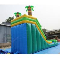 China 14 Years up Age Range Widely Used Backyard Inflatable Water Slide for Kids and Adults for sale