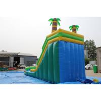 China 14 Years up Age Range Widely Used Backyard Inflatable Water Slide for Kids and Adults for sale