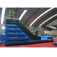 China 15ft Kids Cali Palms Inflatable Slide With Pool Dual Water Slides Large Size PVC Tarpaulin for sale