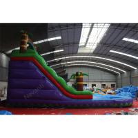 China Commercial Giants Kids Inflatable Water Slide with Pool 18ft Business Rental for sale