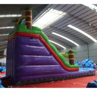 China Commercial Giants Kids Inflatable Water Slide with Pool 18ft Business Rental for sale