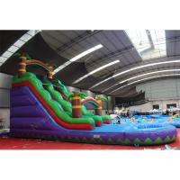 China Commercial Giants Kids Inflatable Water Slide with Pool 18ft Business Rental for sale