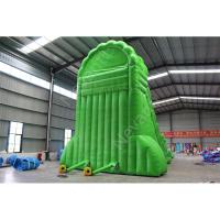 China Large Green Castle Inflatable Water Slide with Pool Customizable and Commercial Grade for sale