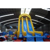 China Unisex Custom Logo Printed Commercial Inflatable Water Slide for Giant Water Fun for sale