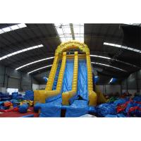 China Unisex Custom Logo Printed Commercial Inflatable Water Slide for Giant Water Fun for sale